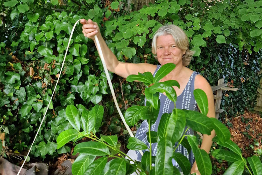 Guerrilla gardening, young adults - and a new vocabulary - Church ...